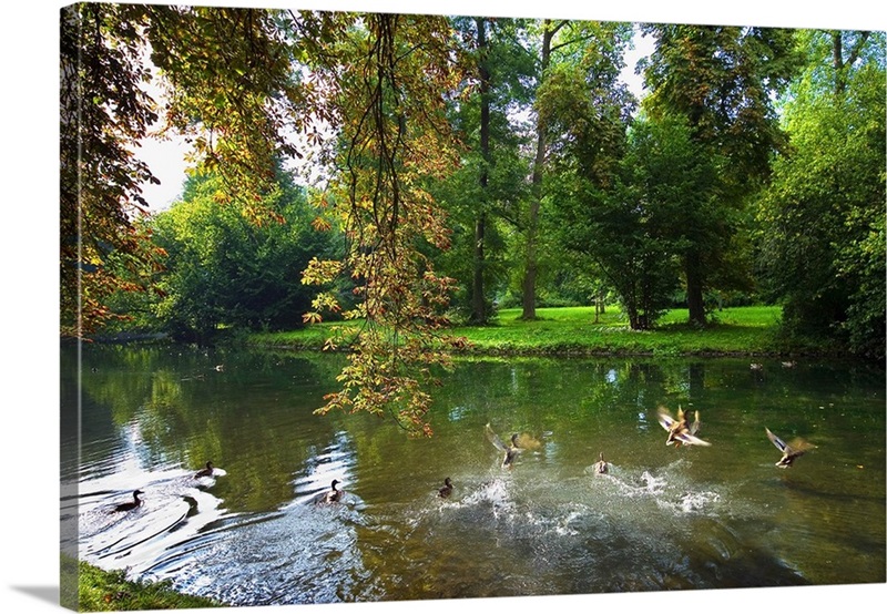 Germany, Baden-Wurttemberg, Central Europe, Danube, Furstenberg park ...