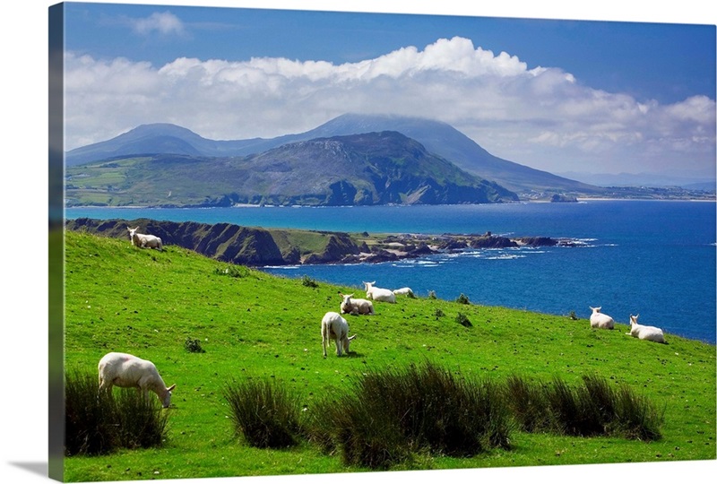 Ireland, Donegal, Inishowen Peninsula, landscape near Pollan Bay ...