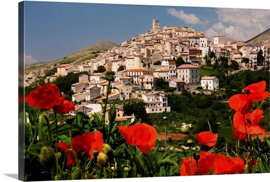 Italy, Abruzzo, Gran Sasso National Park, L'Aquila district, Poppies ...