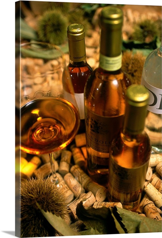 Italy, Friuli, Nimis, Udine district, wine cellar, Il Roncat, Ramandolo ...