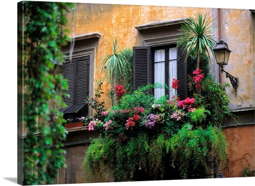Italy, Rome, Historical Center, typical window with flowers | Great Big ...