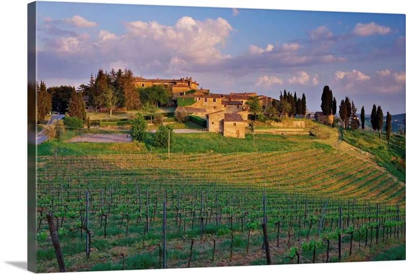 Italy, Tuscany, Chianti, Castelvecchi, village near Radda in Chianti ...