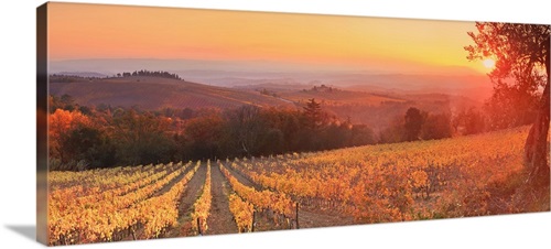 Italy, Tuscany, Gaiole in Chianti, Sunset on Barone Ricasoli vineyards ...