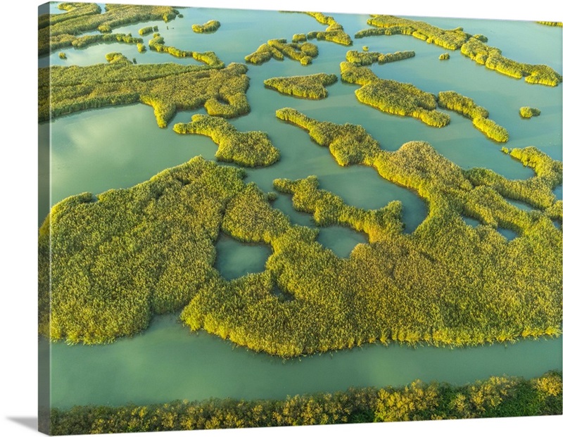 Italy, Venetian Lagoon, Reeds In The Lagoon Of The Delta Del Po 'At ...