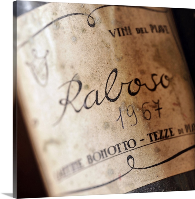 Italy, Veneto, Tezze di Piave, Bonotto delle Tezze winery, Raboso wine ...