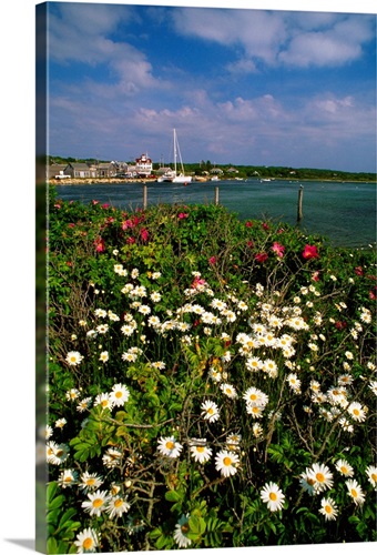 Massachusetts, Martha's Vineyard, Menemsha | Great Big Canvas
