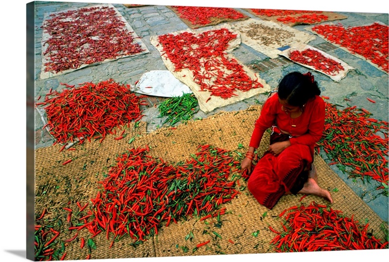 Nepal, Hot pepper, Traditional hot pepper | Great Big Canvas