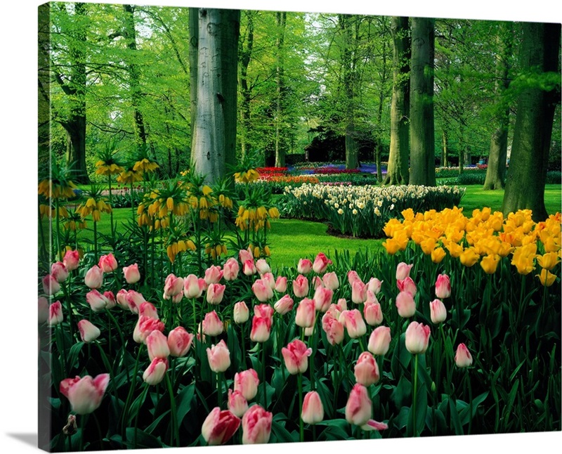 Netherlands, Lisse, Keukenhof Gardens | Great Big Canvas