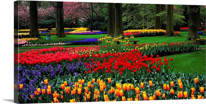 Netherlands, Lisse, Keukenhof Gardens | Great Big Canvas