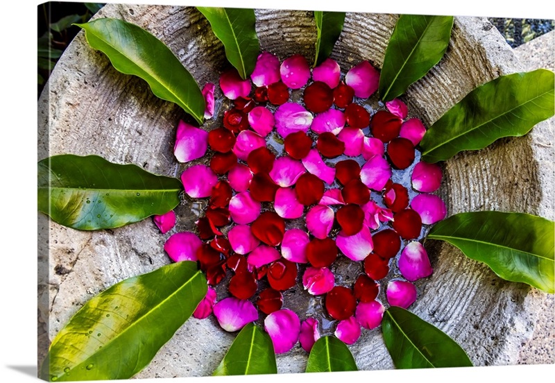 Rose Petals And Green Leaves Zen Like Arrangement | Great Big Canvas