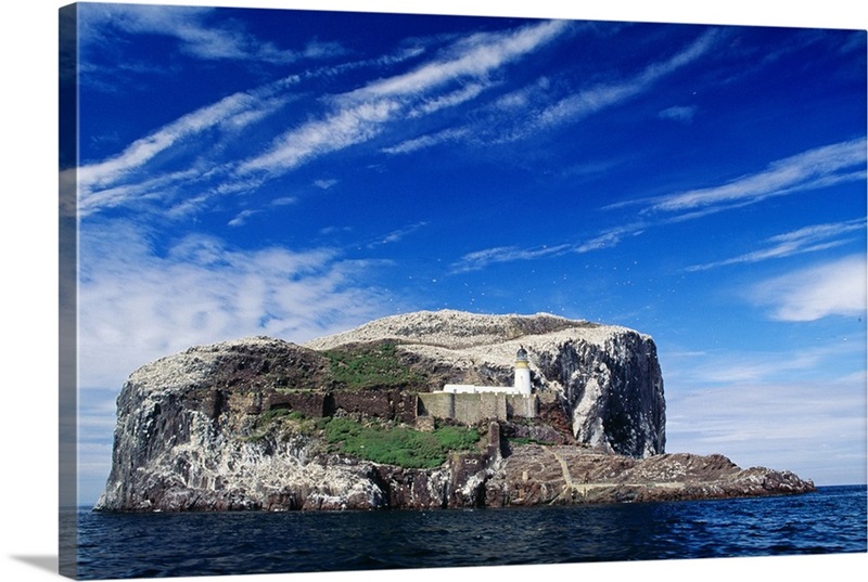 Scotland, Bass Rock | Great Big Canvas