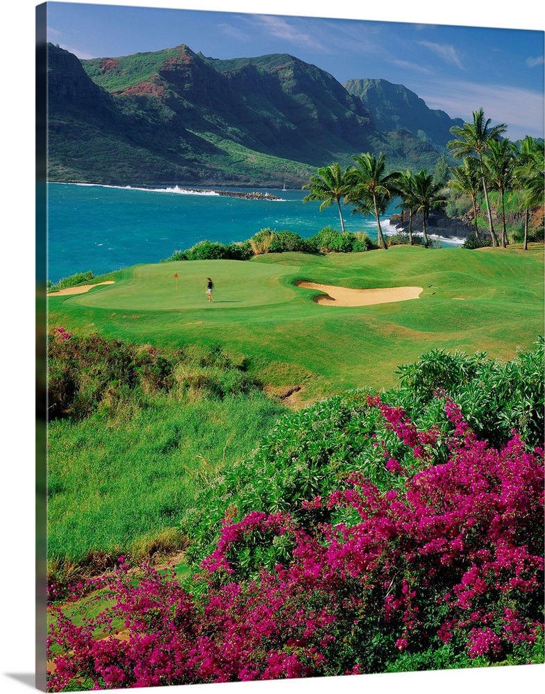 United States, Hawaii, Kauai island, Lihue, Kalapaki bay, Lagoons golf ...