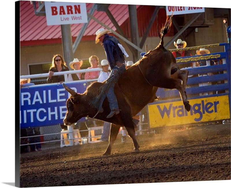United States, USA, Wyoming, Cody, Xtreme Bulls Rodeo | Great Big Canvas