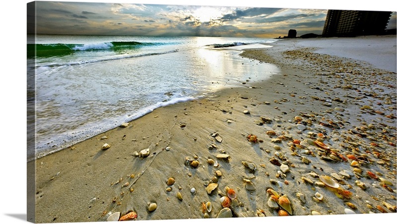 Beach Shells Sunset Landscape | Great Big Canvas