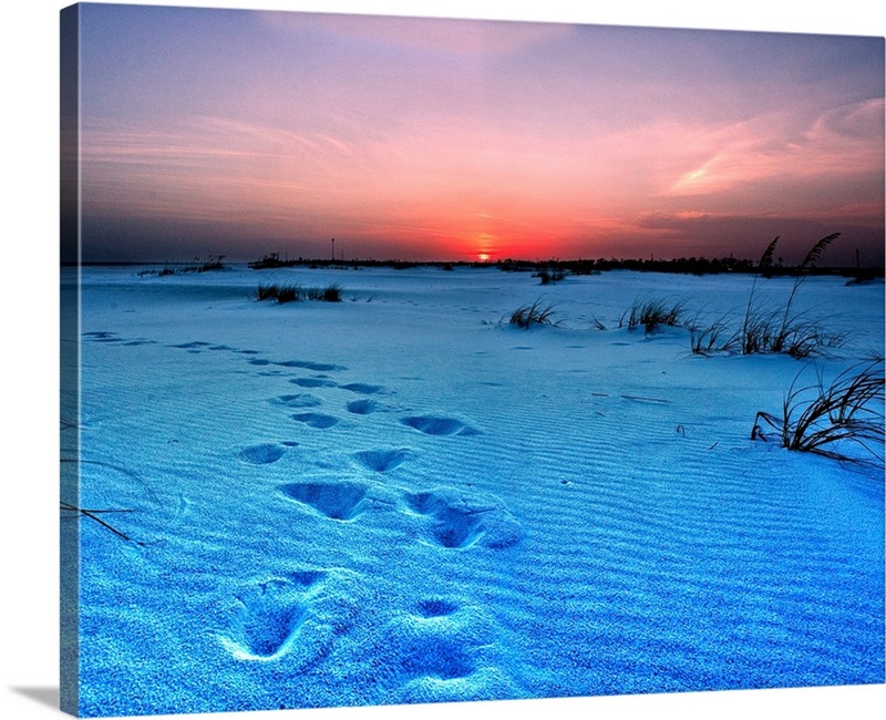 Blue Purple Sunset Landscape | Great Big Canvas