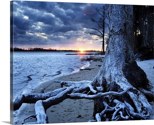 Dark Sunset Lake Tree Landscape | Great Big Canvas
