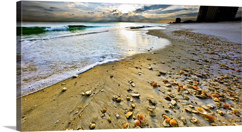 Panoramic Sunset Beach Shells | Great Big Canvas
