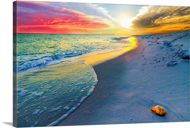 Sunset Wall Beach Shell Landscape | Great Big Canvas
