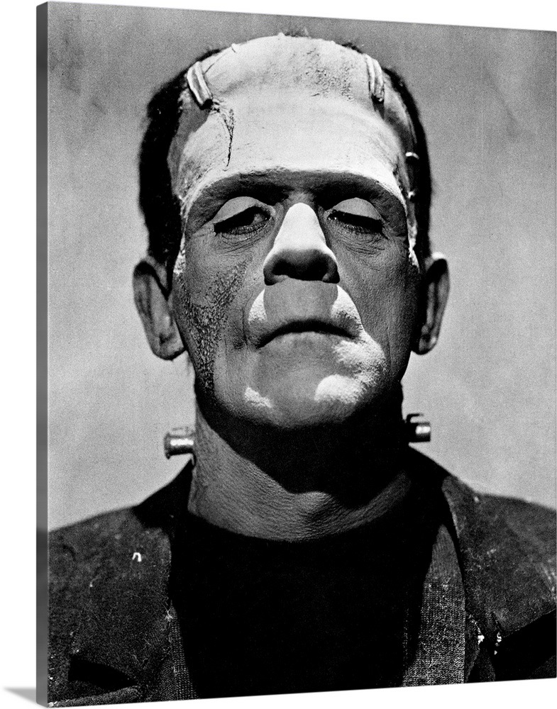 Boris Karloff in Bride of Frankenstein - Vintage Publicity Photo Wall ...