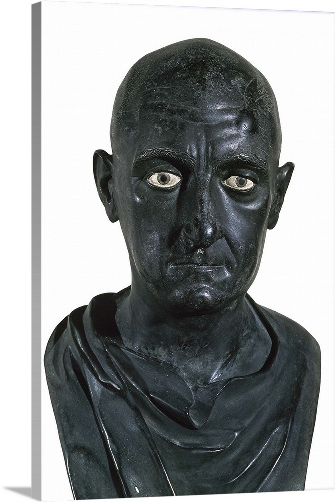 Bust of Scipio Africanus the Elder Wall Art, Canvas Prints, Framed ...