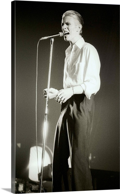 David Bowie On Stage, Isolar-1976 Tour, Vorst Nationaal, Brussels ...