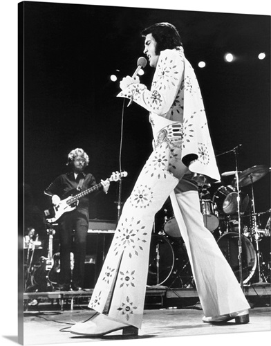 Elvis On Tour, Elvis Presley, 1972 | Great Big Canvas