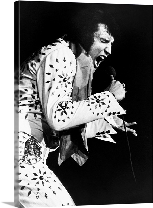 Elvis On Tour, Elvis Presley, 1972 | Great Big Canvas