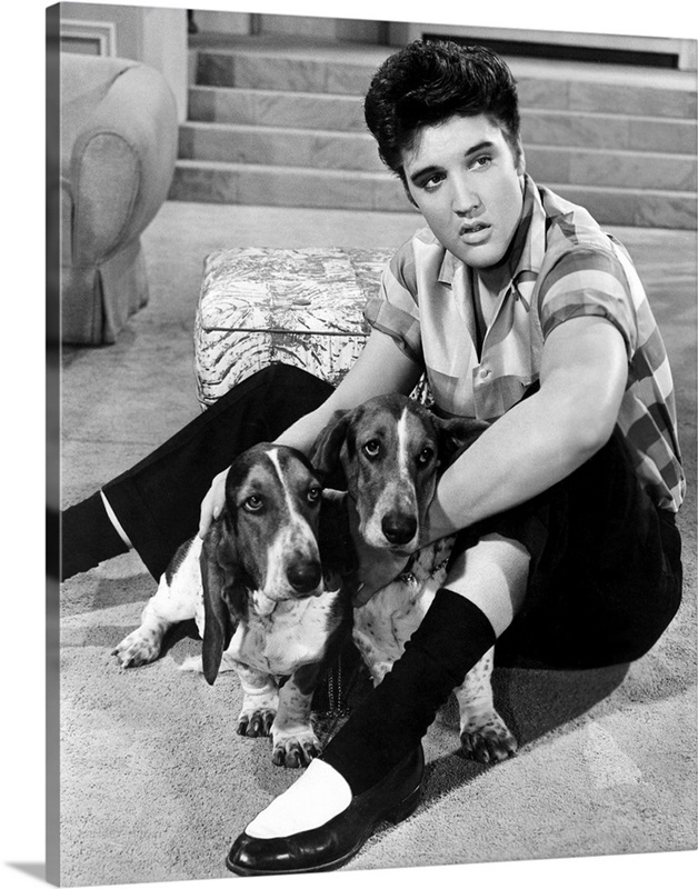 Elvis Presley in Jailhouse Rock - Vintage Publicity Photo | Great Big ...