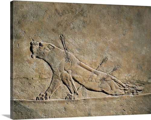 The Dying Lion, Assyrian art | Great Big Canvas