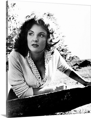 Celebrity Wall Art | Great Big Canvas