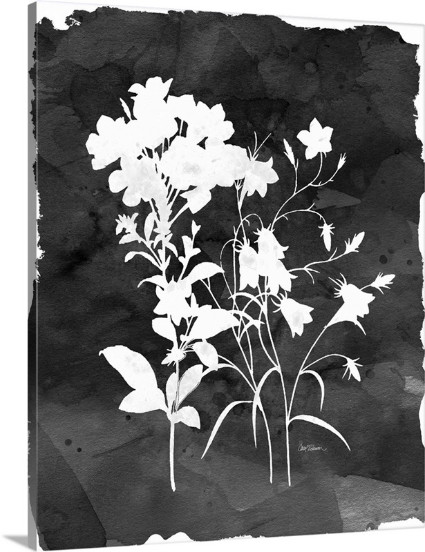 Black Botanical II | Great Big Canvas