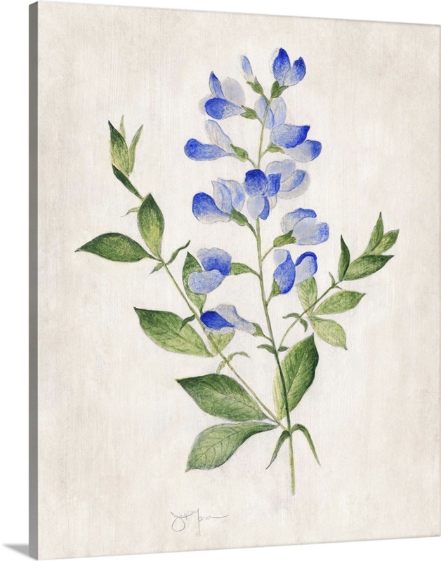 Blue Botanical II | Great Big Canvas