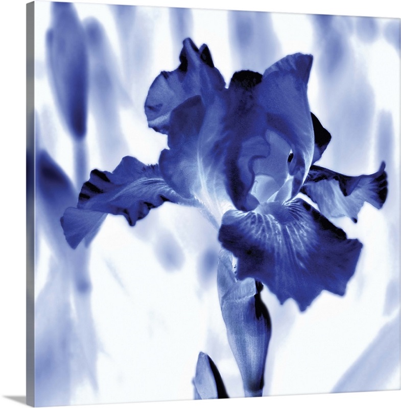 Blue Ice Iris | Great Big Canvas