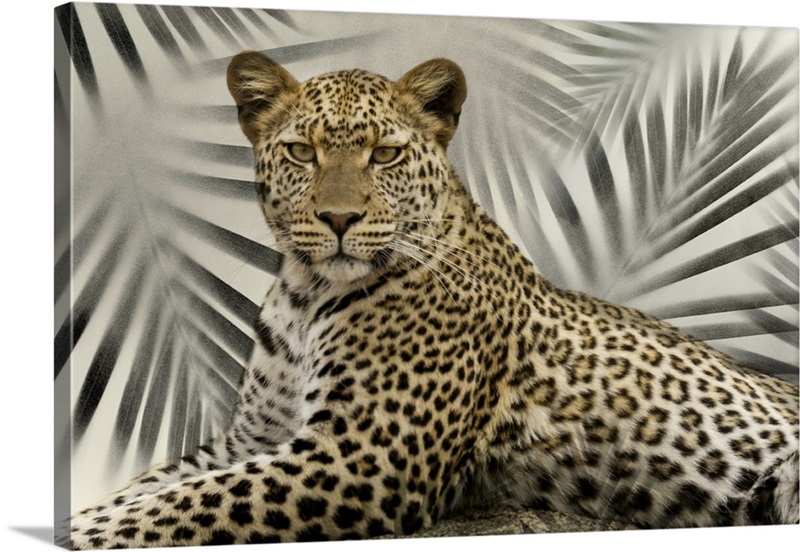 Boho Cheetah | Great Big Canvas