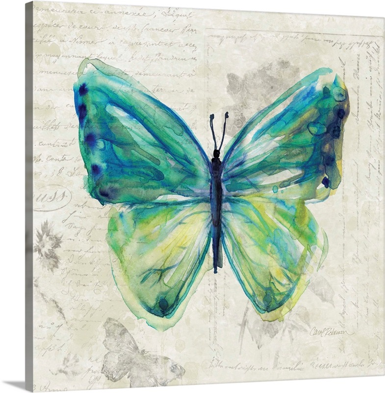 Butterfly Sketch IV | Great Big Canvas