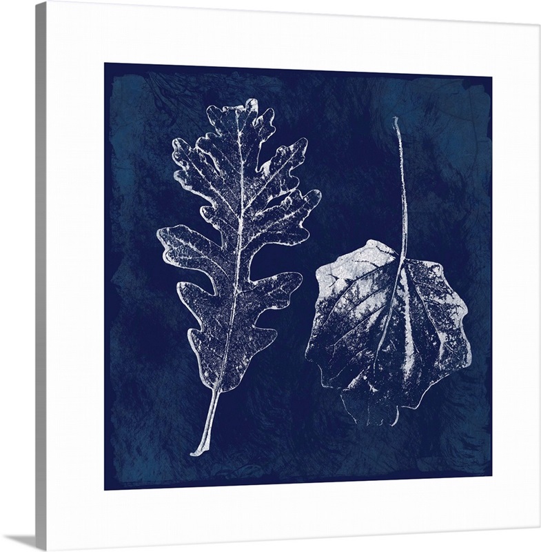 Cyanotype Oak Leaves | Great Big Canvas