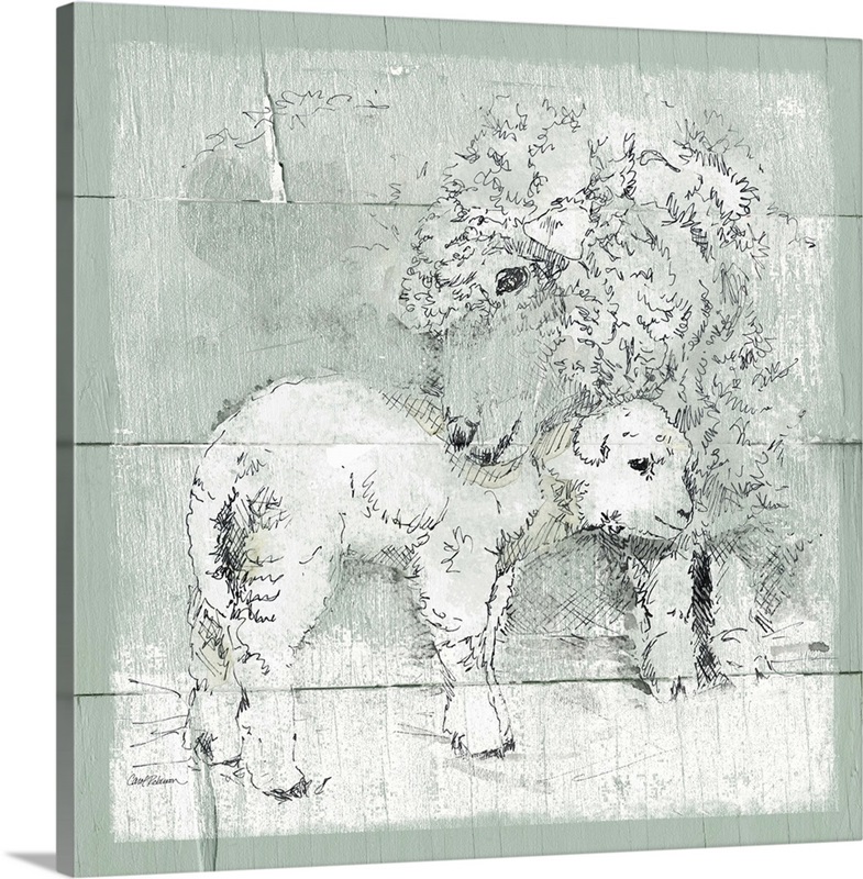 Gentle Lamb II | Great Big Canvas