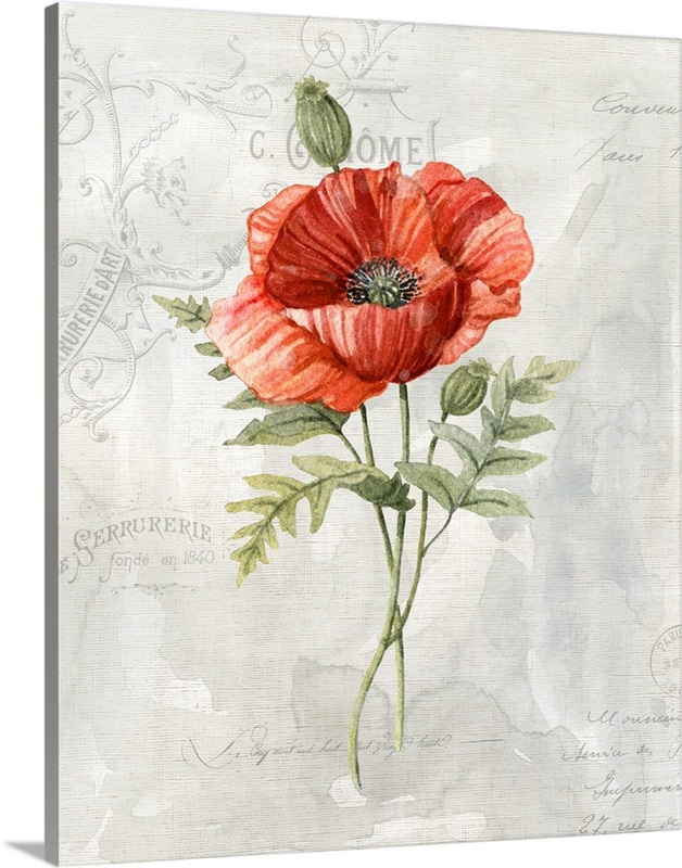 Linen Poppy | Great Big Canvas