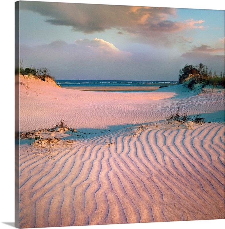 Little Talbot Island | Great Big Canvas