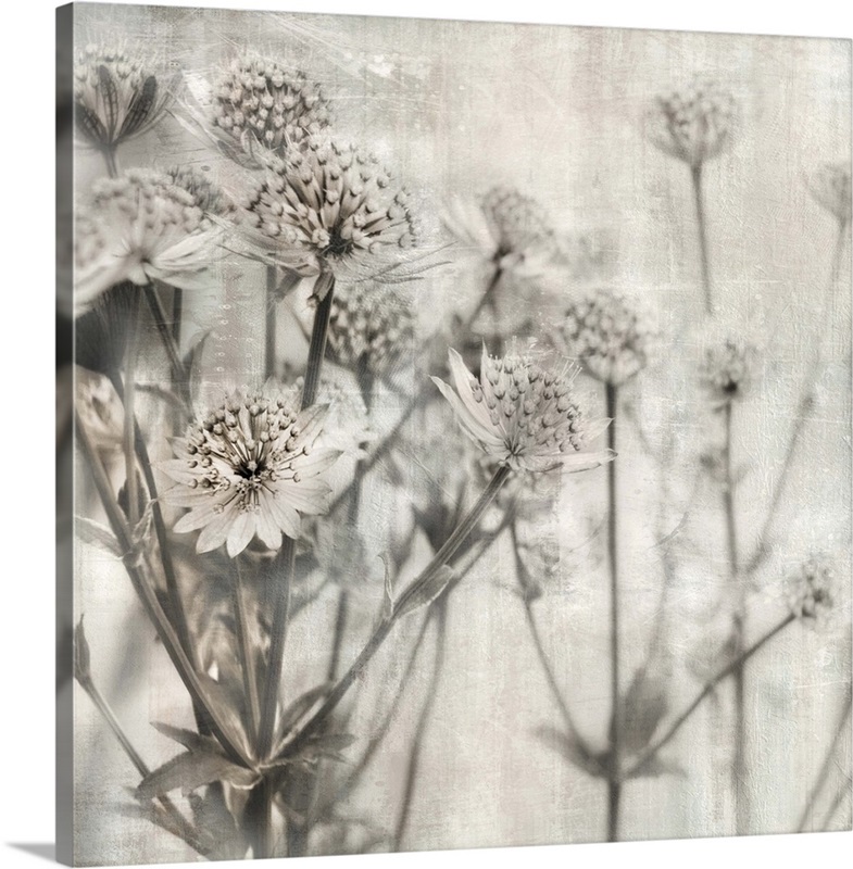 Natural Ones I | Great Big Canvas