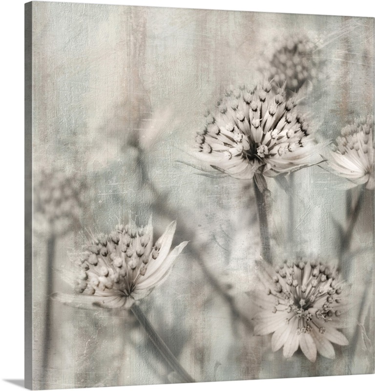 Natural Ones II | Great Big Canvas