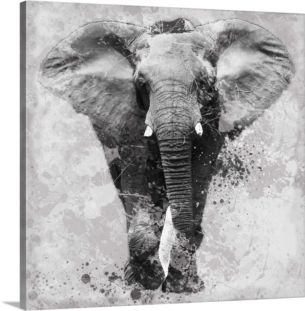 Proud Elephant Wall Art, Canvas Prints, Framed Prints, Wall Peels ...