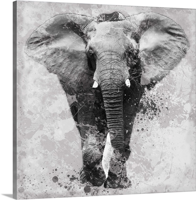 Proud Elephant | Great Big Canvas