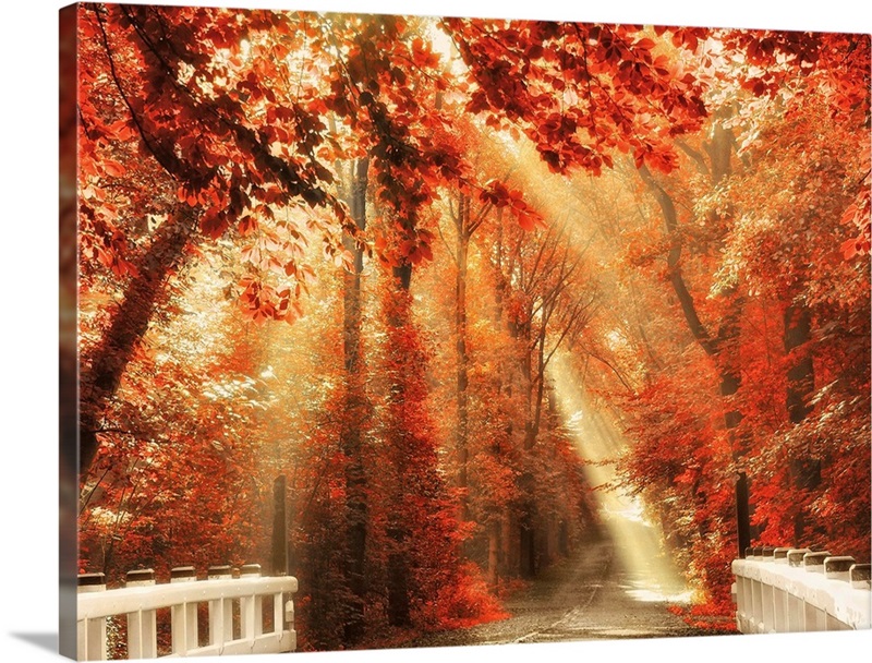 Red for Rest | Great Big Canvas