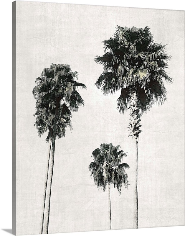 Sketchbook Palm | Great Big Canvas