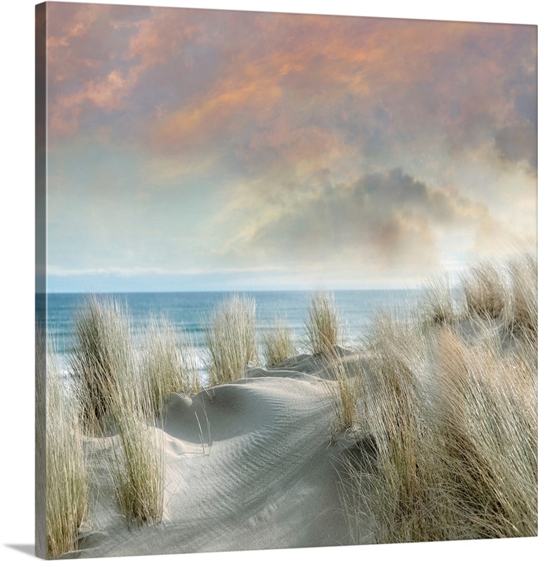 Windswept I | Great Big Canvas