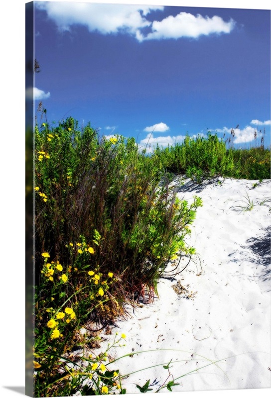 A Sandy Pathway I | Great Big Canvas