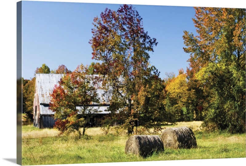 Autumn Scene I | Great Big Canvas