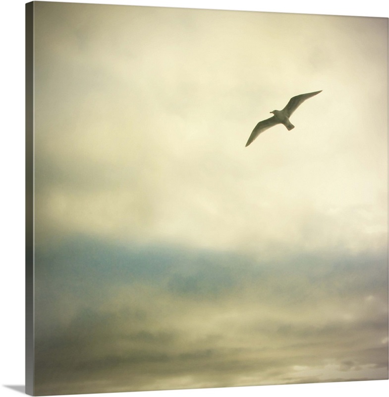 Be Here V | Great Big Canvas