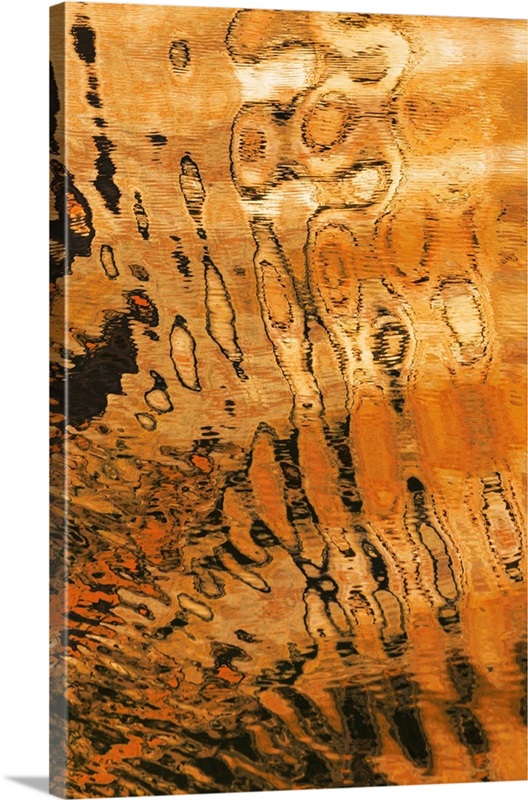 Golden Reflection I | Great Big Canvas